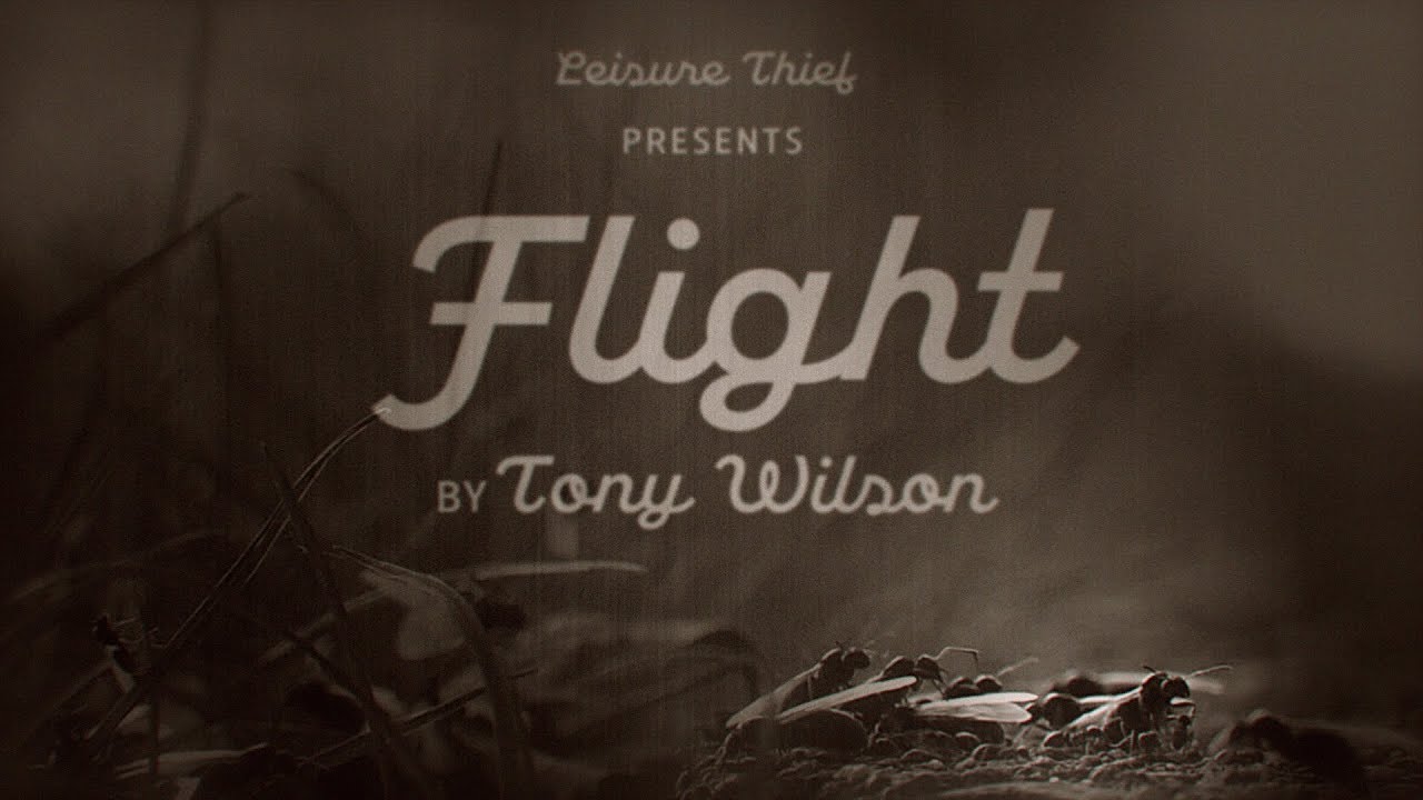 Flight | Tony Wilson's Looking Back (The Fox Cabaret, April 18, 2019 ...