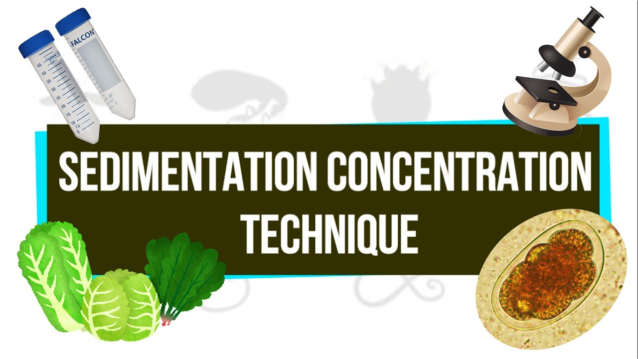 Sedimentation Concentration Technique UPLB Parasitology Research Sedimentation Concentration Technique UPLB Parasitology Research
