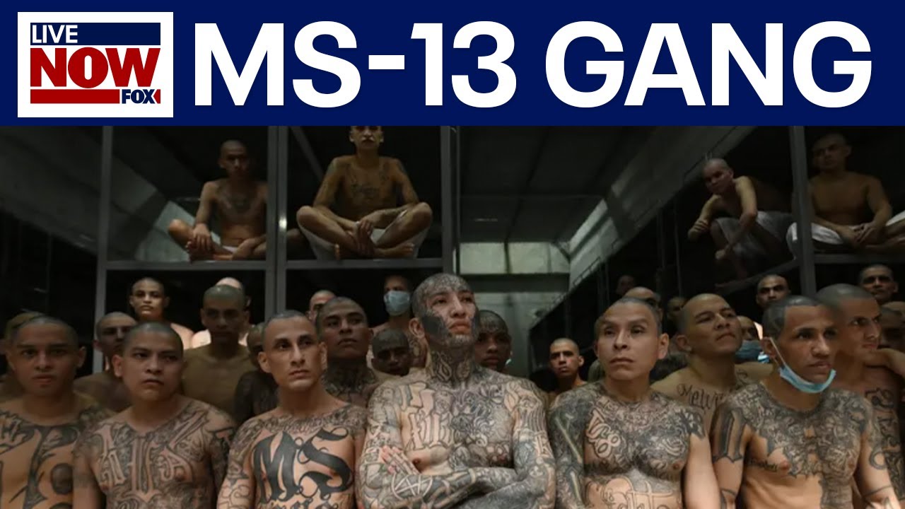 What is the MS-13 gang? Several members arrested in US - YouTube