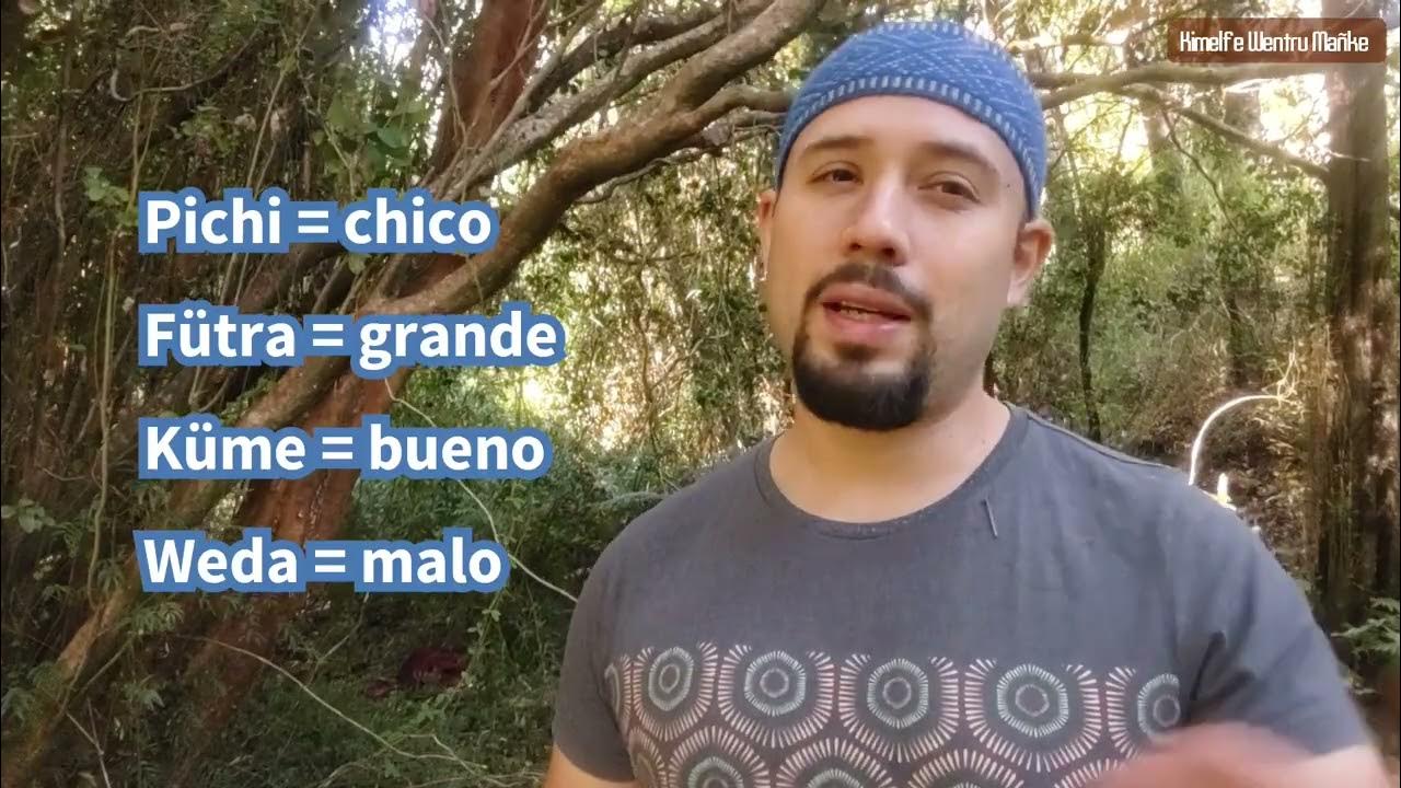 📣📣AD N'EMÜL' = El adjetivo en la lengua mapuche 👈👈 - YouTube