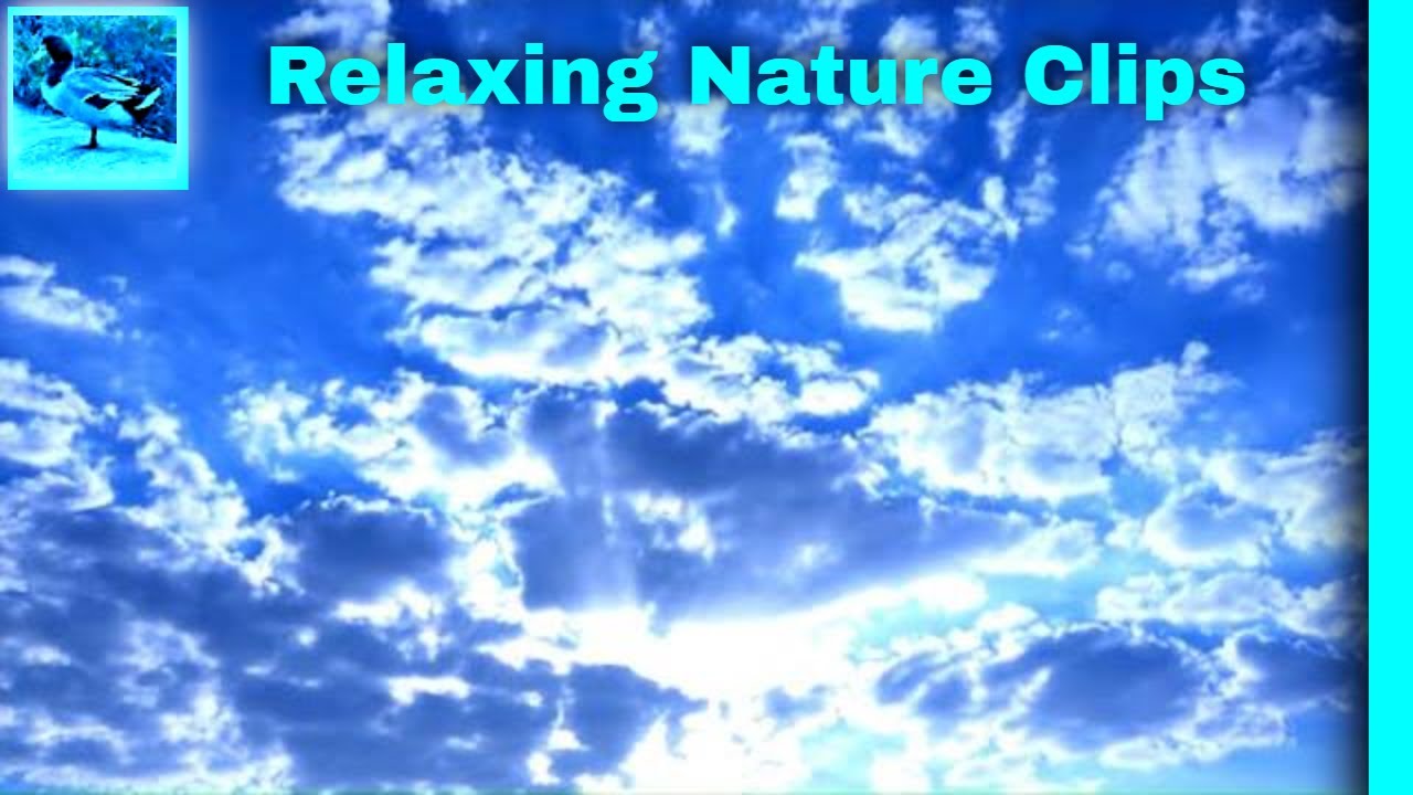 🔵In The Clouds 2 Video: 19 Minute Relaxing Nature Clips | Calm ...