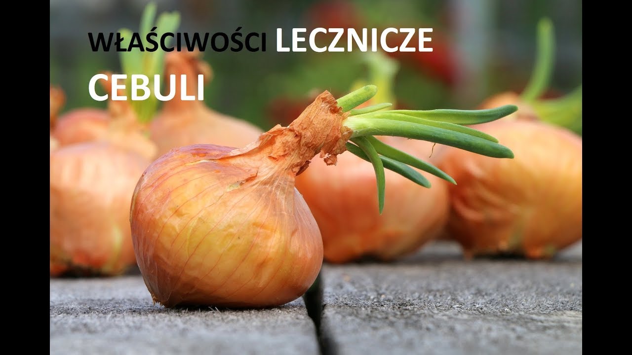 CEBULA - właściwości, zastosowanie, ciekawostki zdrowotne - YouTube