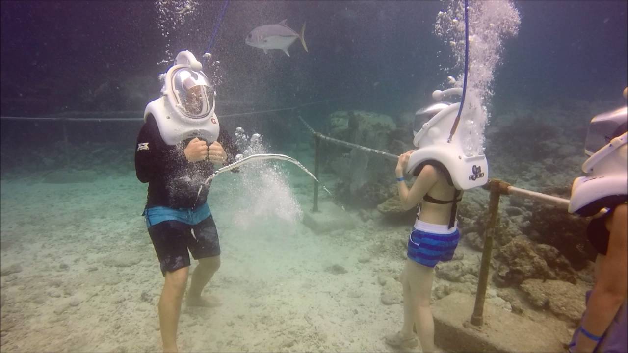 Fish Vortex - YouTube