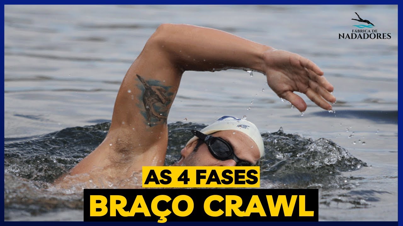As 4 fases da braçada do nado crawl - YouTube