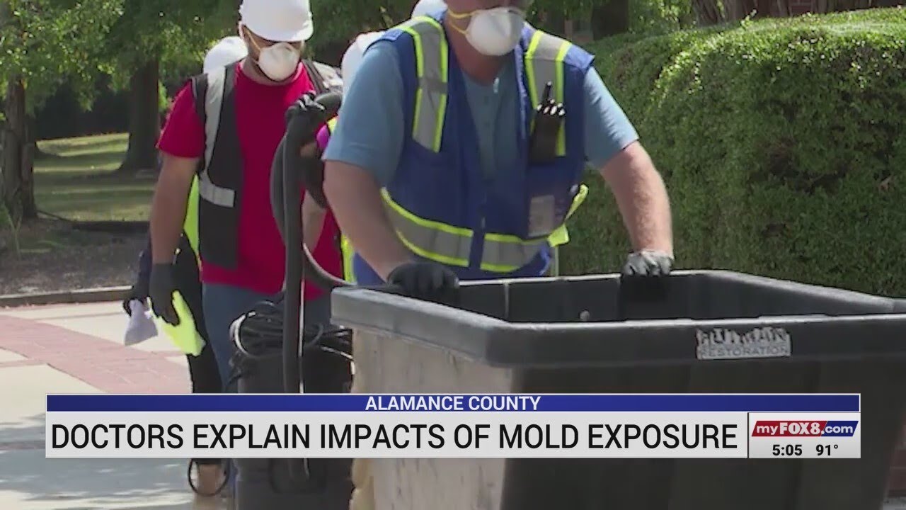 Doctors explain impact of mold exposure - YouTube