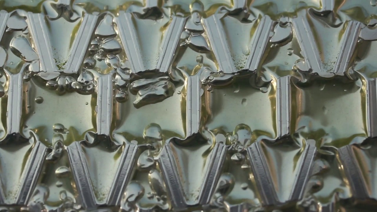 Cultivating Air - Algae Air Cleaner - YouTube