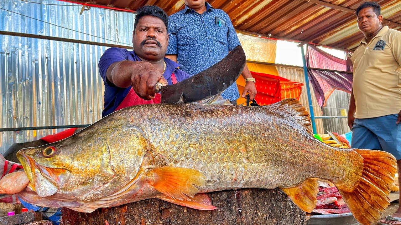 KASIMEDU SPEED SELVAM | HUGE BARRAMUNDI FISH CUTTING VIDEO | 4K VIDEO ...