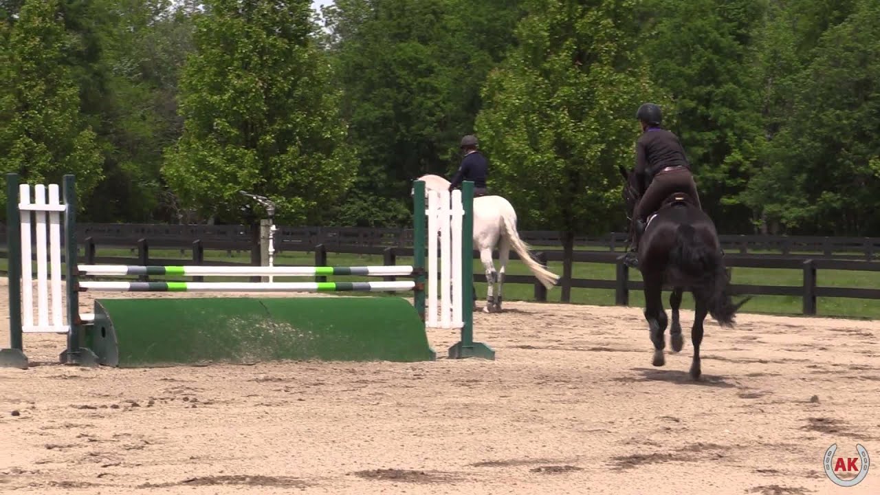 Learn the automatic release, opening rein and more on Riding and ...