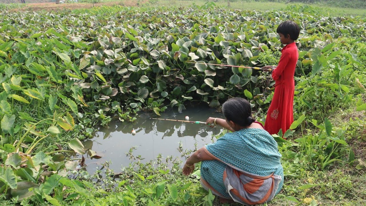 Beautiful fishing video🐠 || The smart grandma & her granddaughter fish ...