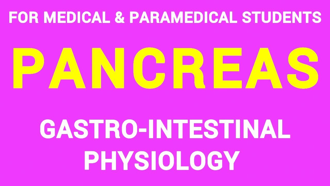 08 PANCREAS PHYSIOLOGY | GIT PHYSIOLOGY - YouTube