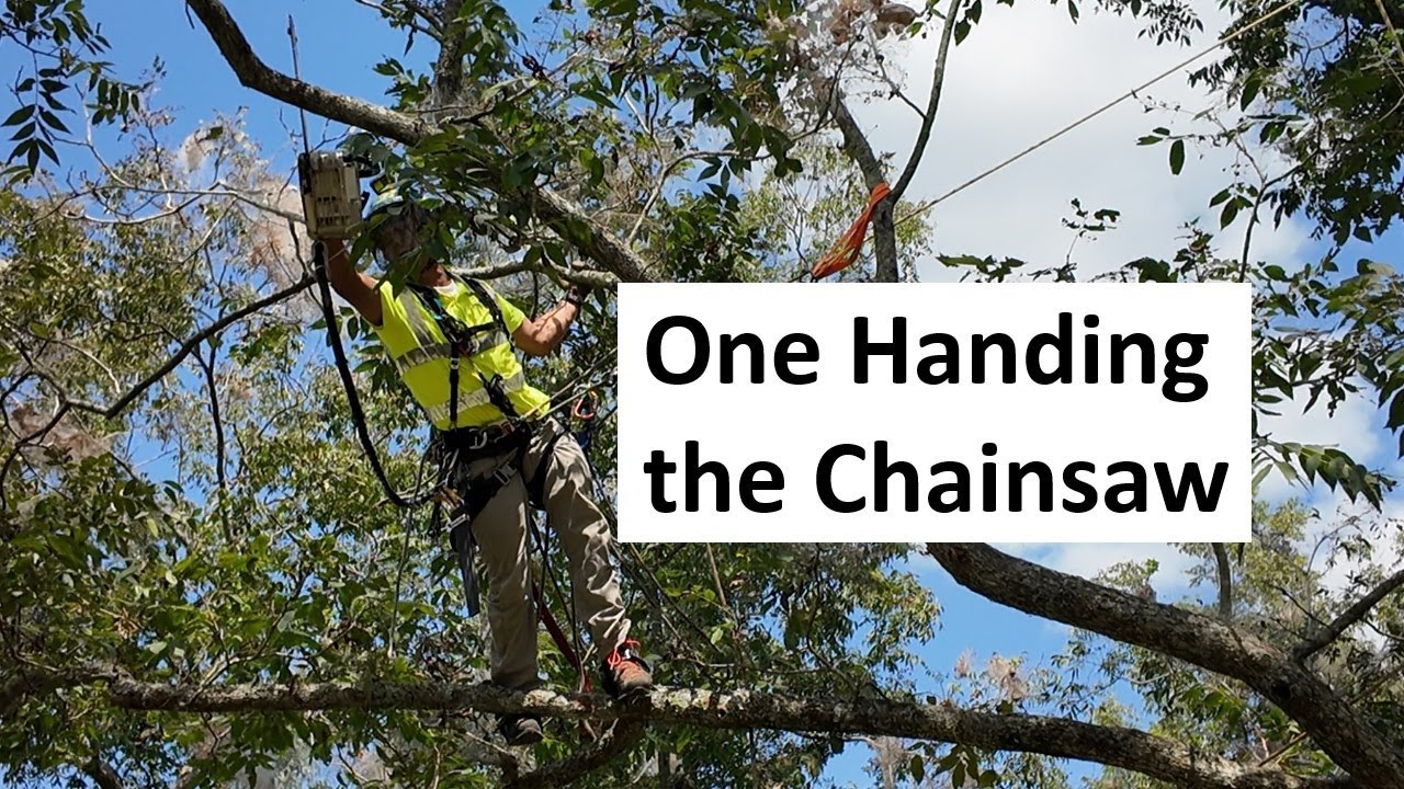 #24 Tree Business - One Handed Chainsaw Use with Troy Weber & Chris ...
