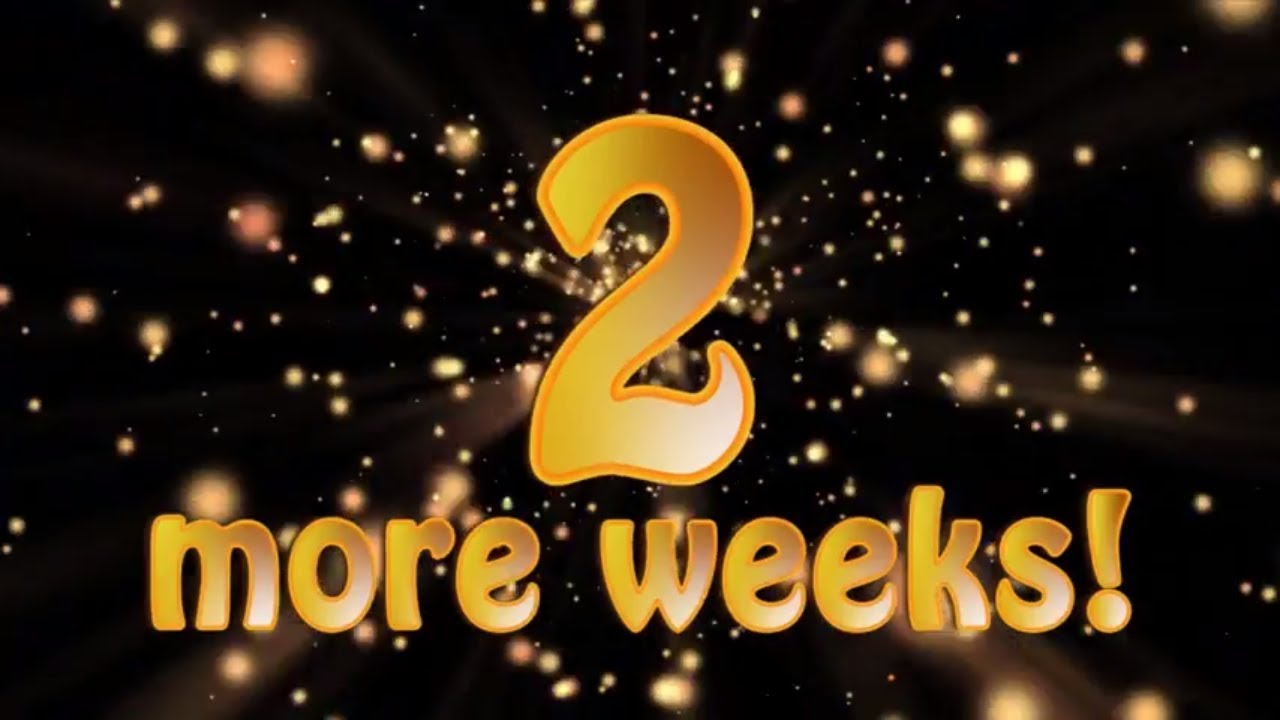 The Real Santa Claus - 2 weeks to Christmas - Santa's Christmas ...