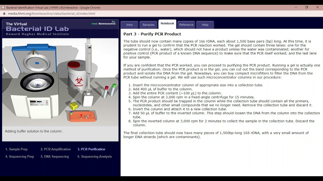 Bacteria Identification Virtual Lab - YouTube