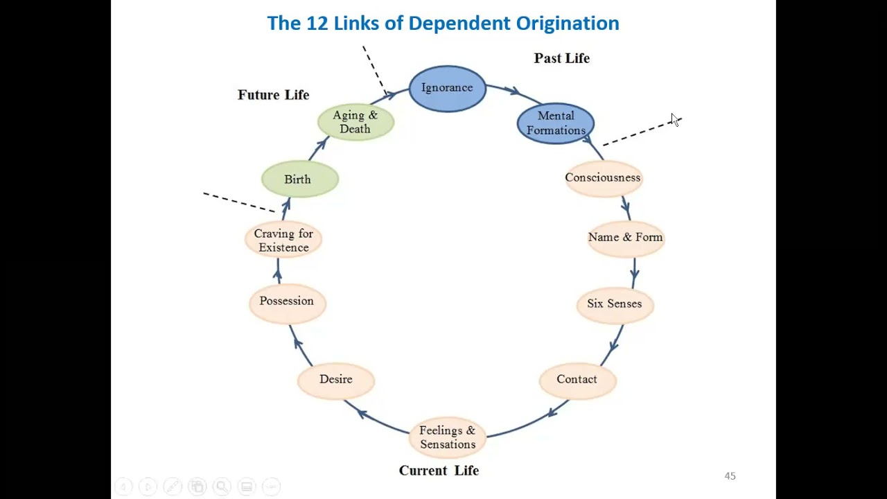 12 Links Dependent Origination - Death and Rebirth Cycle 19 (07-11-2021 ...