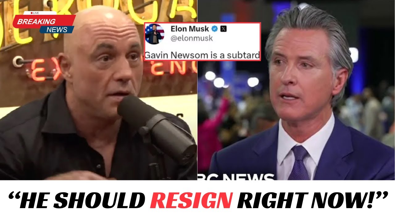 Joe Rogan ROASTS Gavin Newsom Over California Chaos! - YouTube