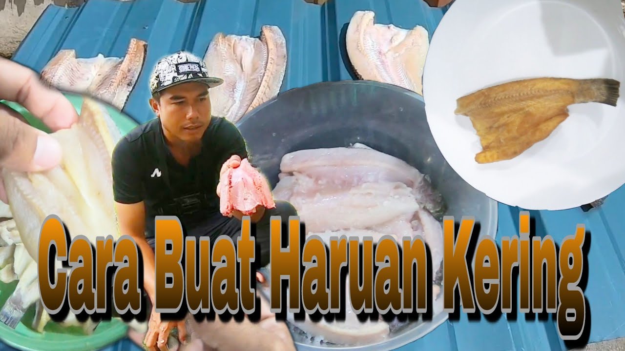 Cara Membuat Ikan Haruan Kering Siang Cuci Taboq Jemok Goreng & Makan ...
