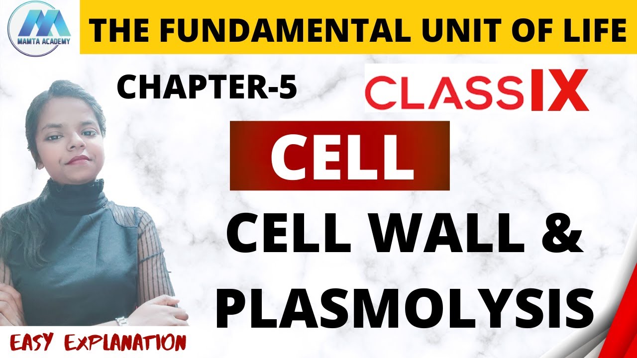 CELL WALL PLASMOLYSIS EASY EXPLANATION CHAPTER 5 CLASS 9 cell-wall-plasmolysis-easy-explanation-chapter-5-class-9