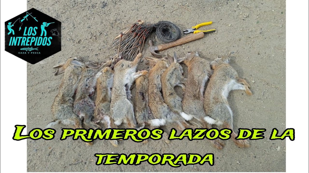 los primeros lazos de la temporada - YouTube