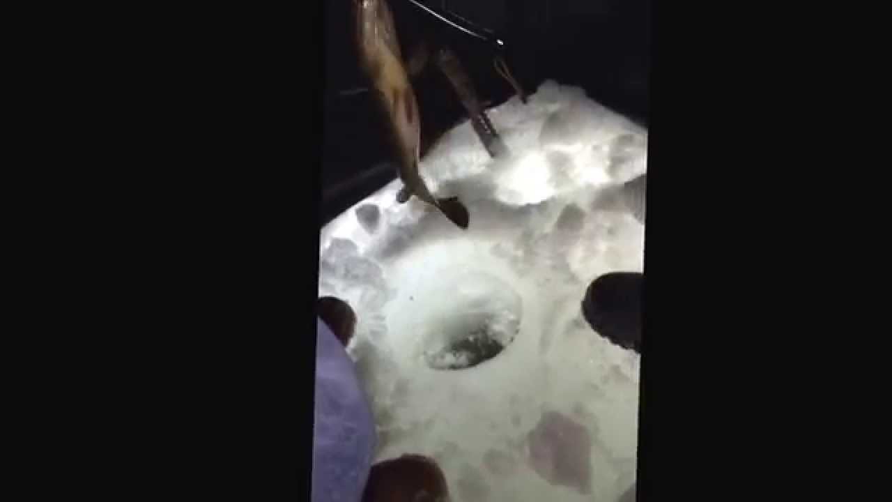 Ice fishing buckmaster pond MA - YouTube