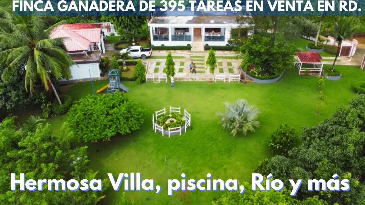 Hermosa Finca Ganadera aquí en la República Dominicana - YouTube