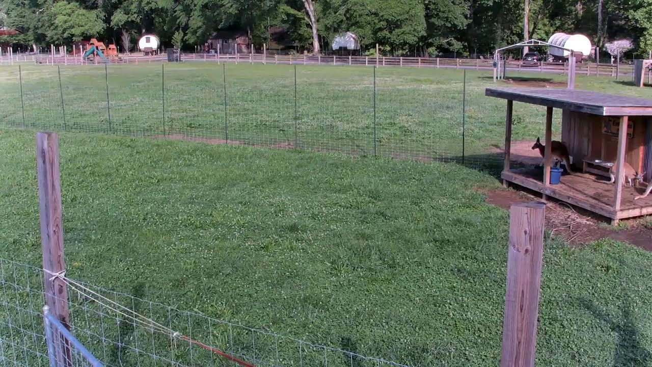 Live Stream From Ocoee Riverside Farm - YouTube