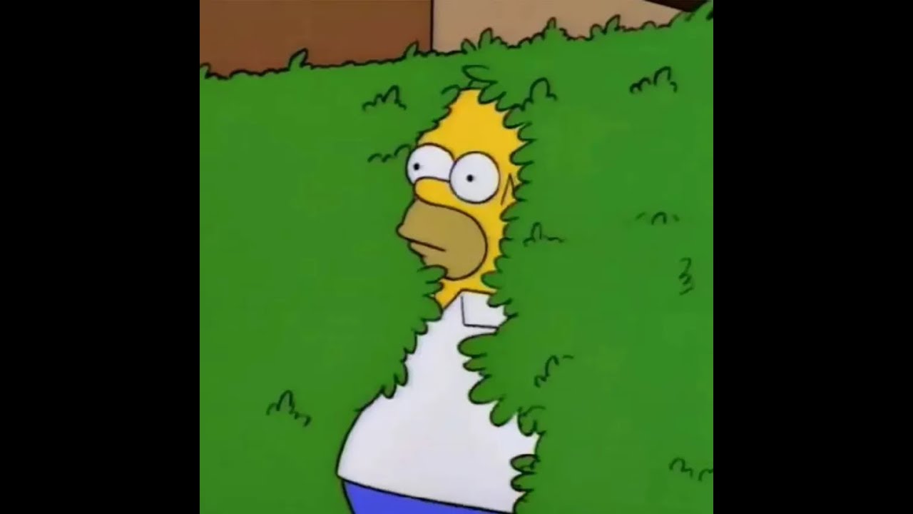 Homer disappearing into the bush | Orignal Meme - YouTube