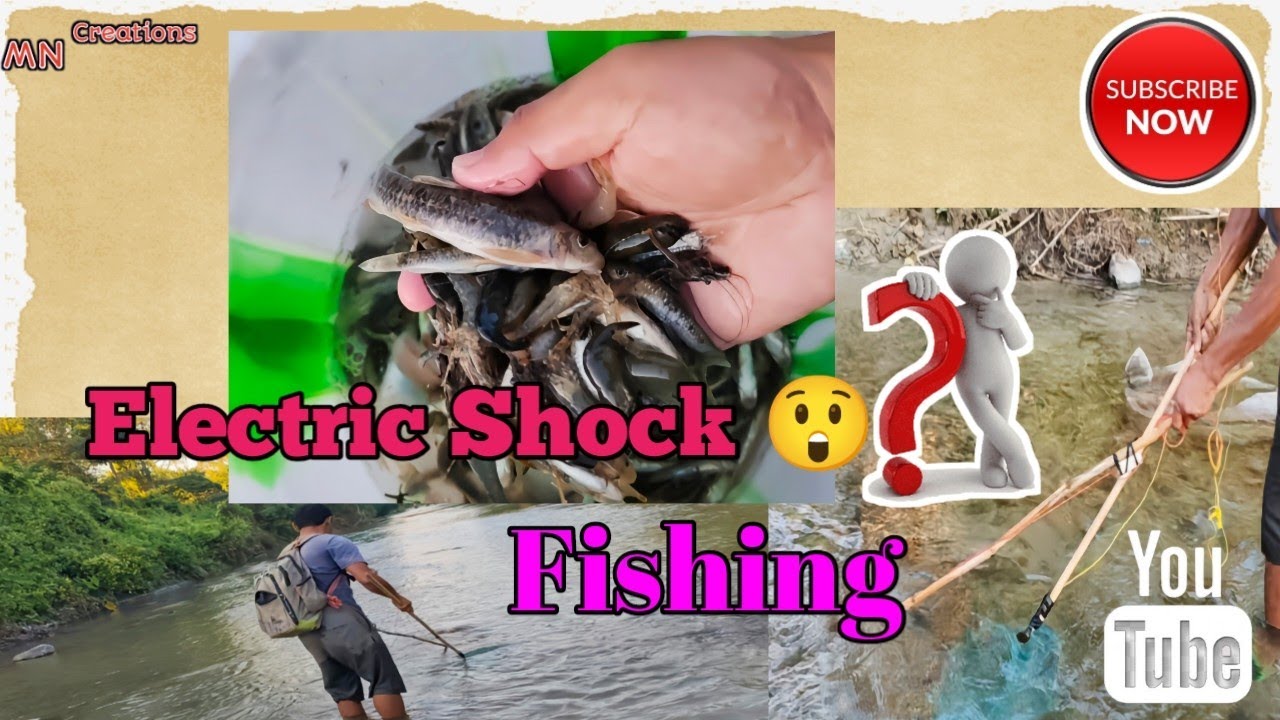 Electric Shock Fishing l Electro Fishing - YouTube
