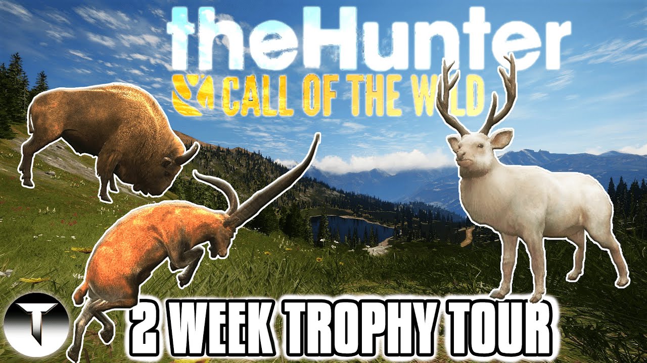 My FIRST TROPHY LODGE TOUR (Call of The Wild) - YouTube