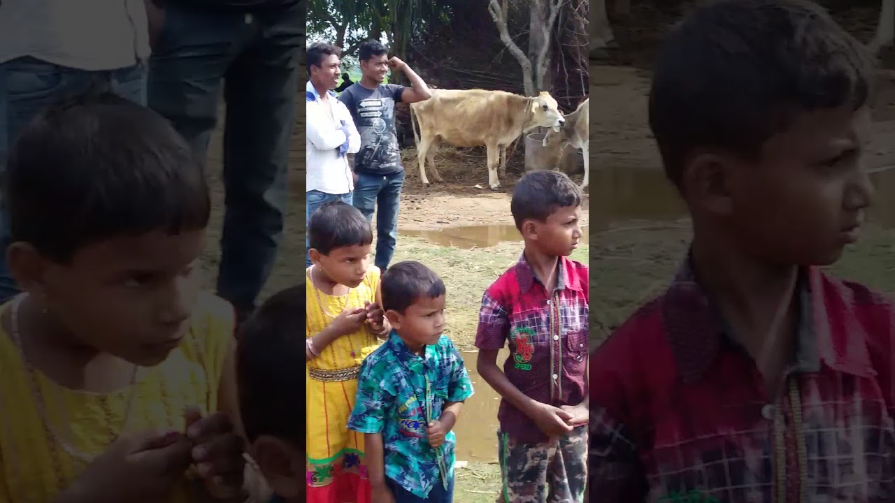 chandra bora snake video - YouTube