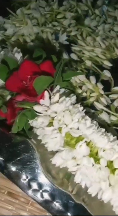 #shorts/🥰easy to🧵🥀string mullai🥀arumbhu garland🌷🌷🌷making at home# ... #shorts/🥰easy to🧵🥀string mullai🥀arumbhu garland🌷🌷🌷making at home# ...