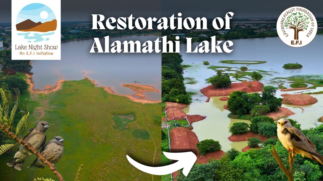 E.F.I's Lake Night Show - Alamathi Lake | #Tiruvallur # ...