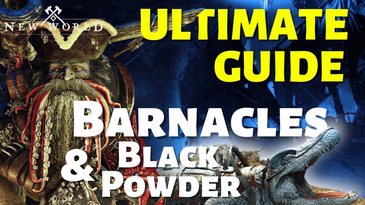 New World - Barnacles & Black Powder Expedition - ULTIMATE GUIDE - YouTube