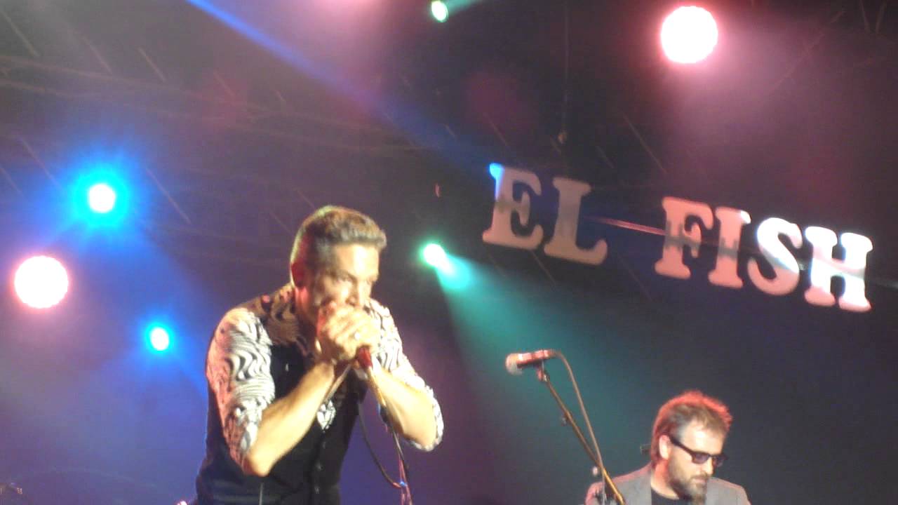 el fish live op BRBF 2012 - YouTube