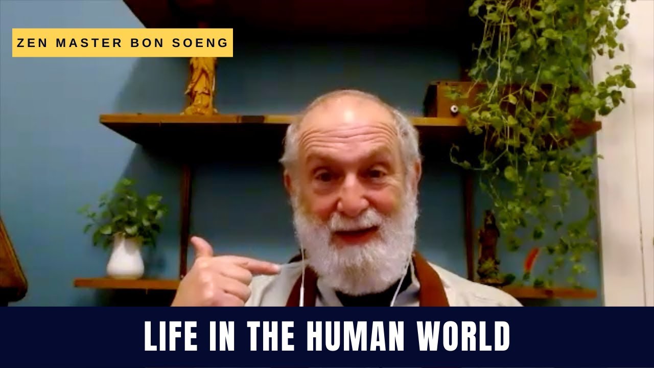 Life In The Human World - YouTube
