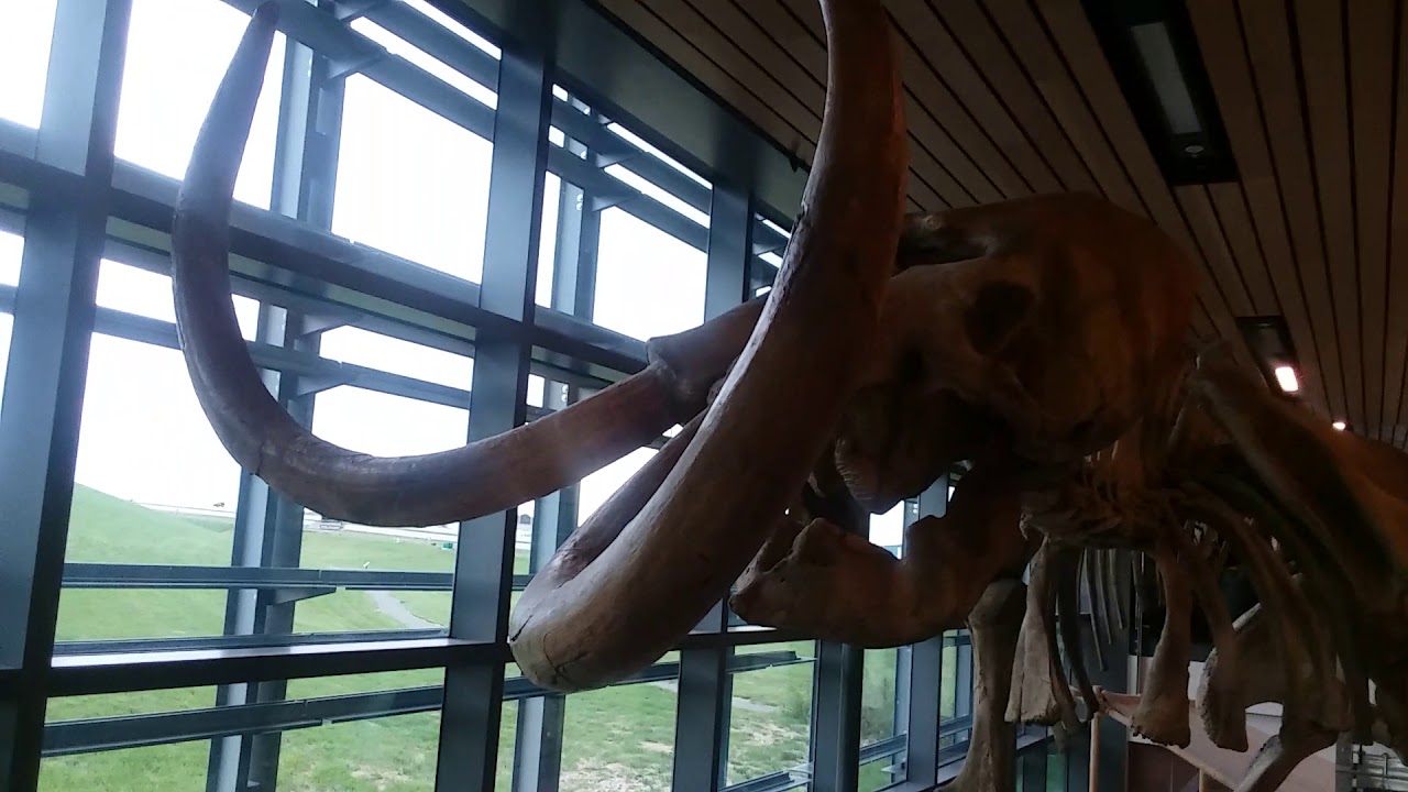 Visitor center outside of Cheyenne Wyoming - YouTube