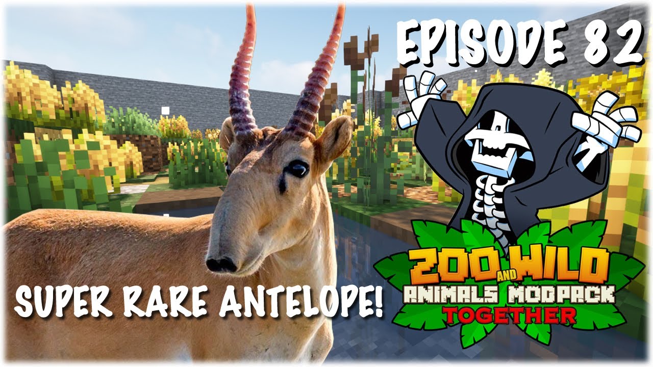 The Saiga Antelope Exhibit - Minecraft SMP: Zoo and Wild Animal (ZAWA ...
