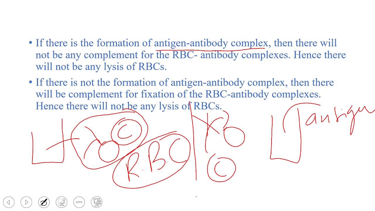 Complement fixation test (Wassermann's Test) - YouTube