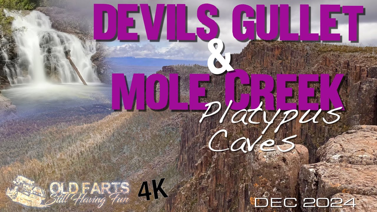 Devils Gullet - Mole Creek And Caveside (Dec2024) - YouTube