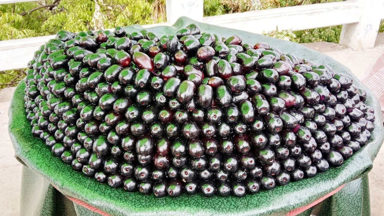Jamun fruits/Naaval Pazham/Rockfort Foods - YouTube