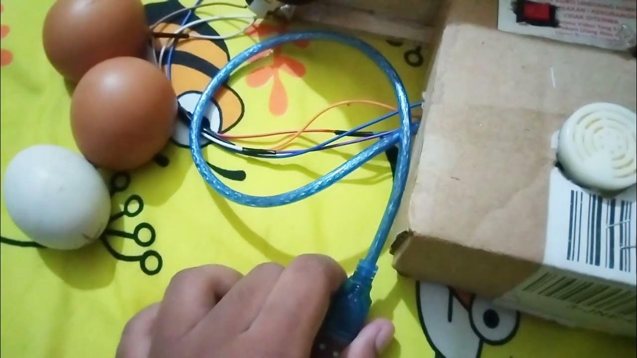 Rancang Bangun Alat Sortir Telur Ayam Berbasis Arduino Uno - Erliana Rahmadani - YouTube