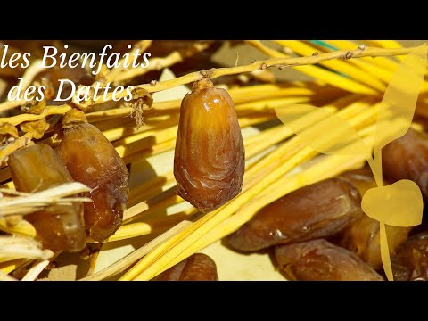 #Dattes // les bienfaits des Dattes