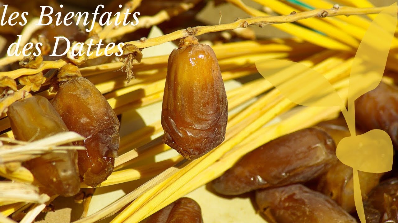 #Dattes // les bienfaits des Dattes - YouTube