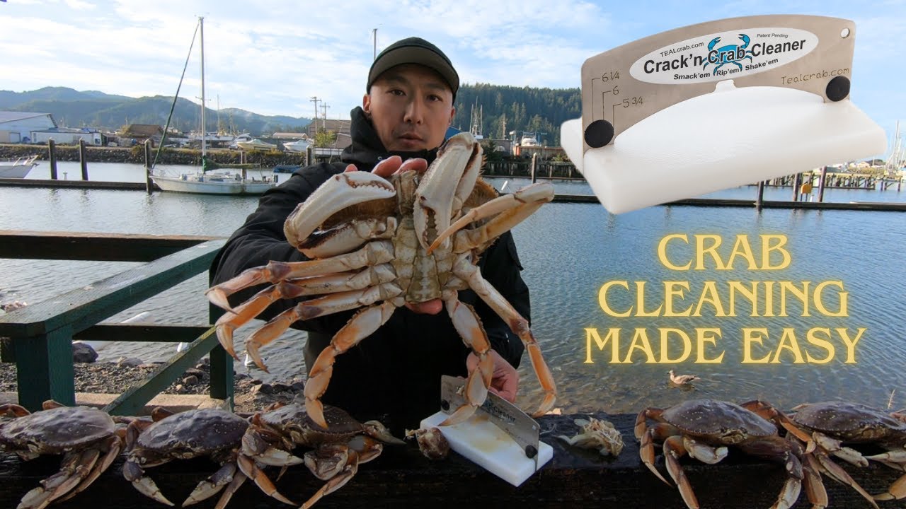Cleaning Crab with the Crackn' Crab Cleaner - YouTube