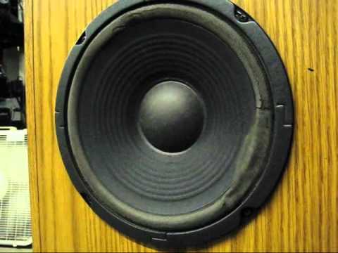 Sony Speaker Destruction - YouTube