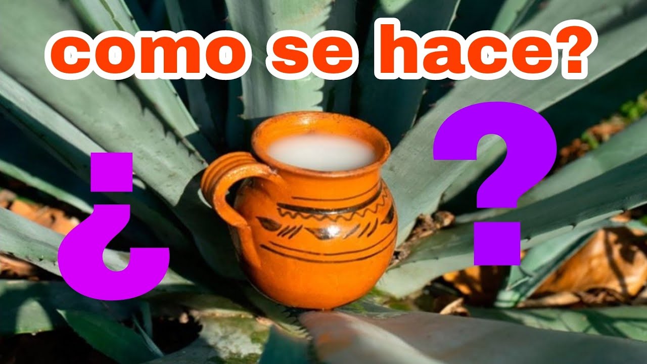 COMO HACER EL PULQUE ?!! // [Tutorial] - YouTube