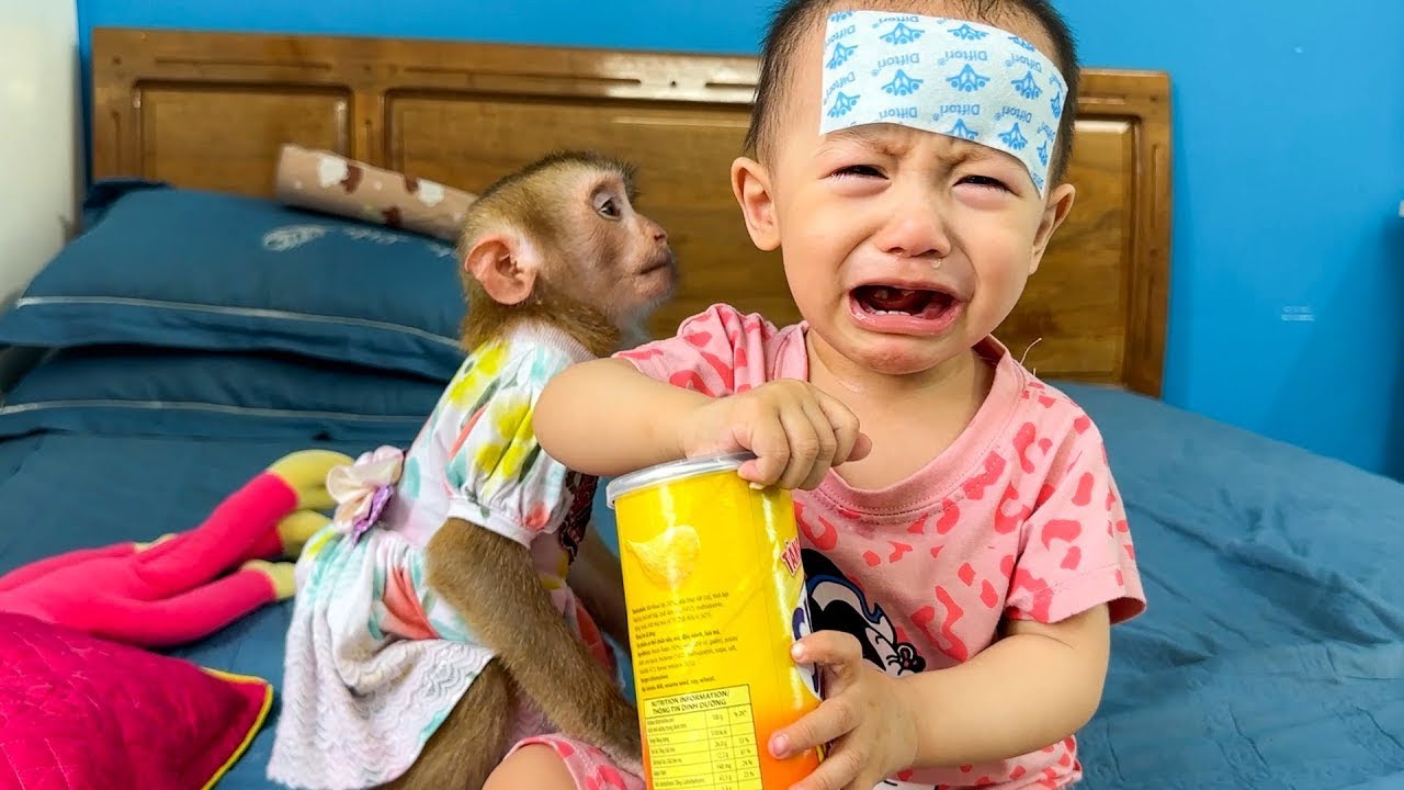 Monkey KaKa was worried when saw Diem crying because of a fever - YouTube