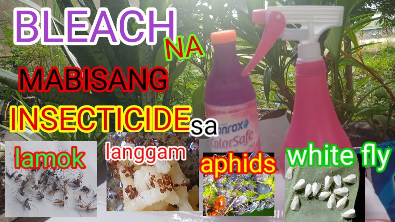 ZONROX COLOR SAFE BLEACH MABISANG AT MURANG INSECTICIDE / DISINFECTANT ...