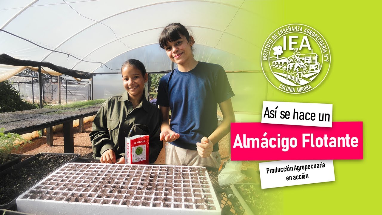Producción agropecuaria en acción: así se hace un almácigo flotante ...