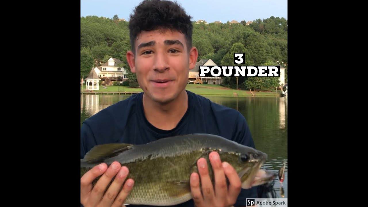Fish on!! 3 pound bass!! - YouTube