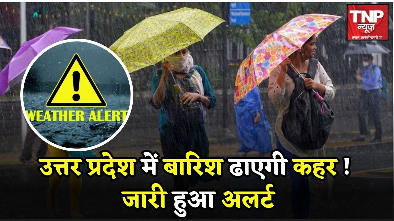 🔴LIVE : | Latest News | TNP News || - YouTube